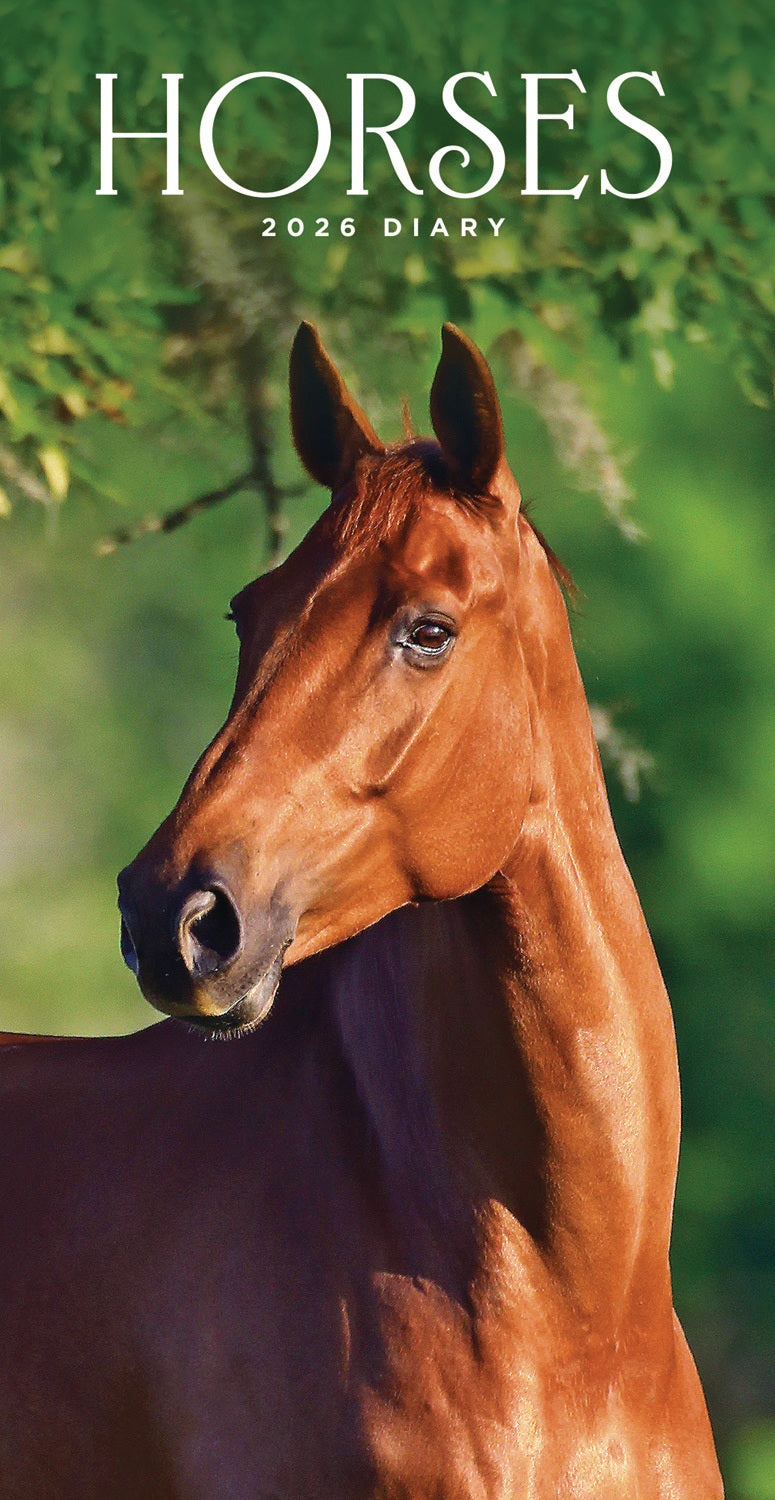 Horses Slim Diary 2026 – Otter House