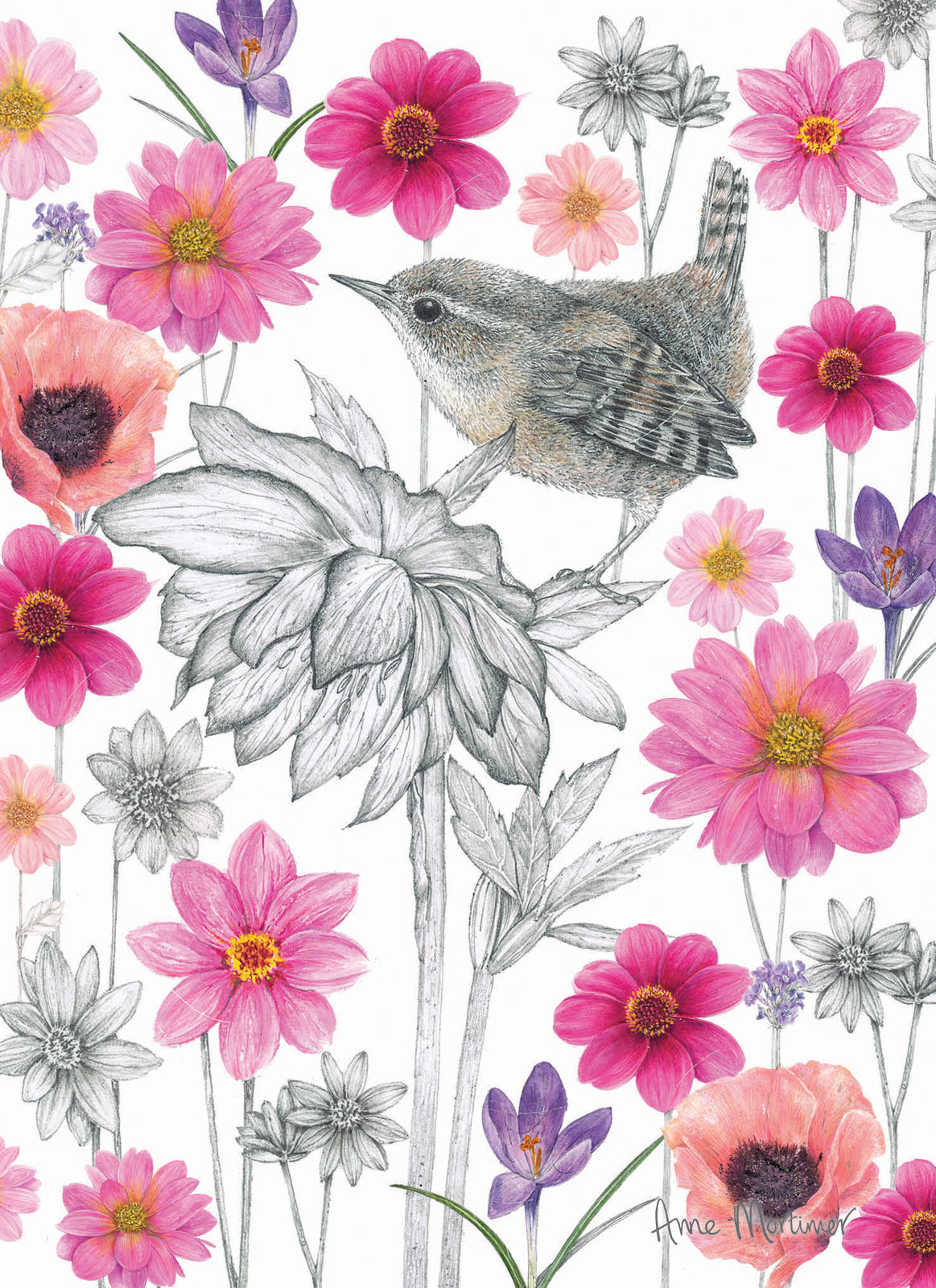 RSPB Card - In the Flowers - Wonderful Wren – Otter House