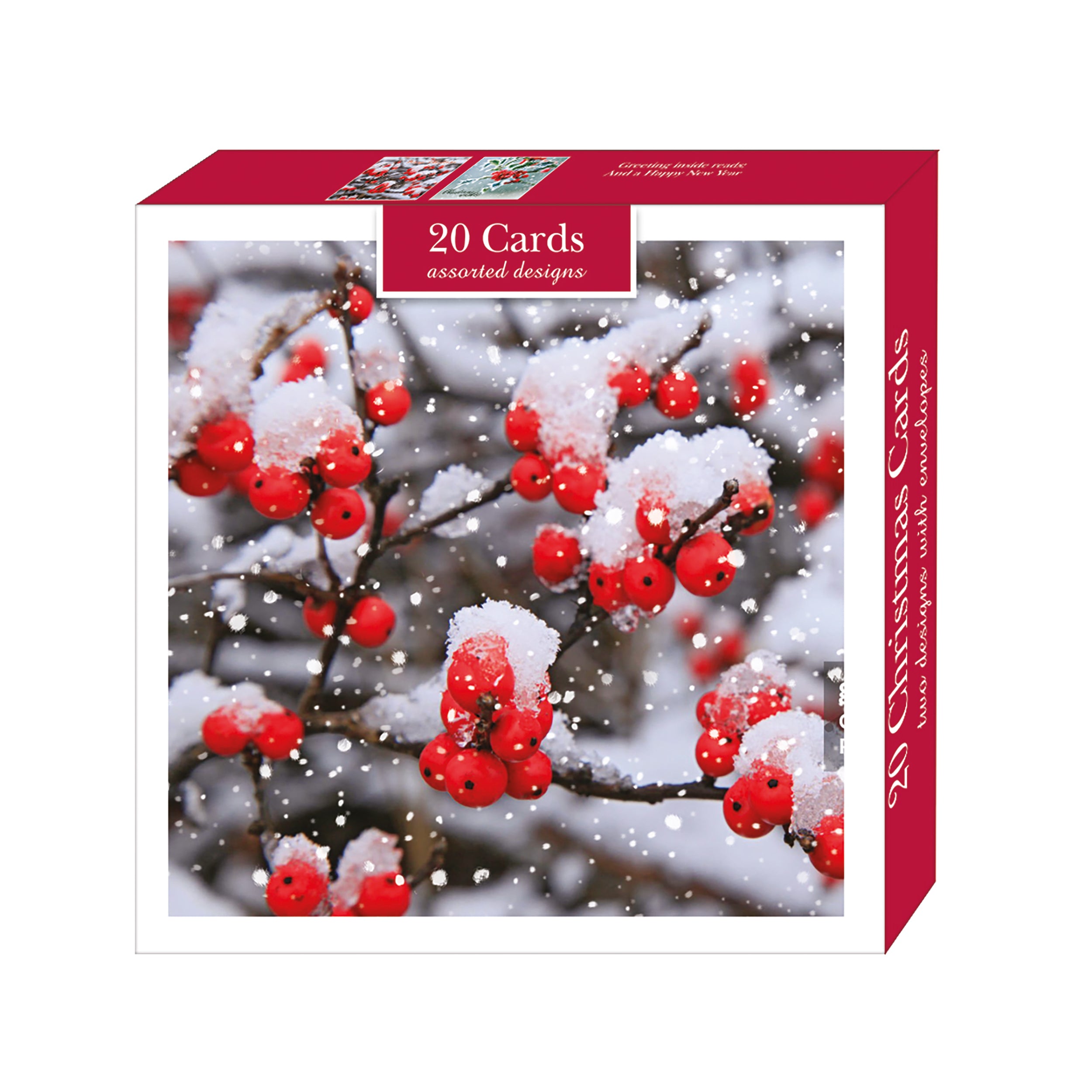 Assorted Christmas Cards - Falling Snow – Otter House