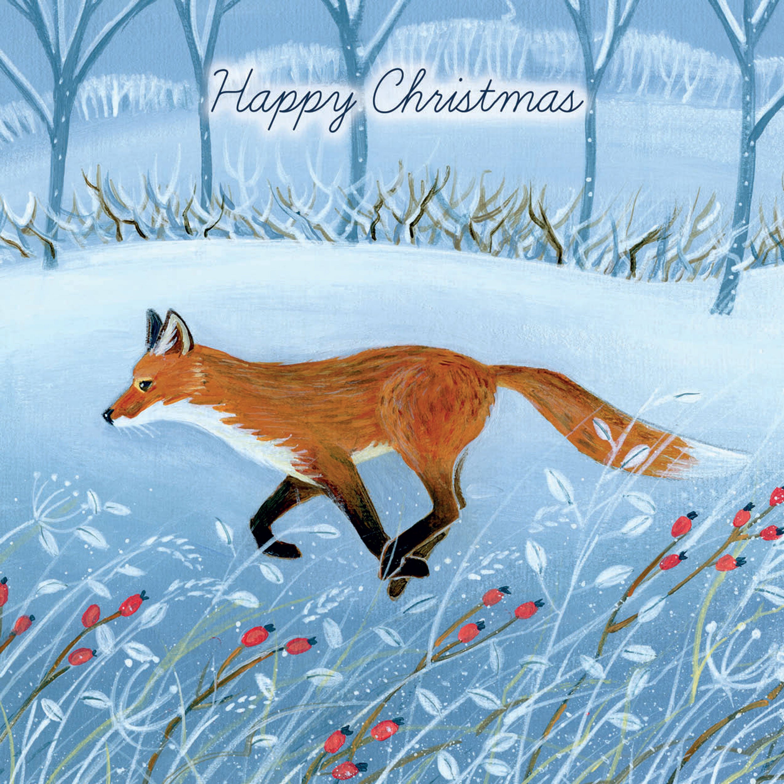 RSPB Small Square Christmas Cards (10 Cards) - Fox in the Snow – Otter ...