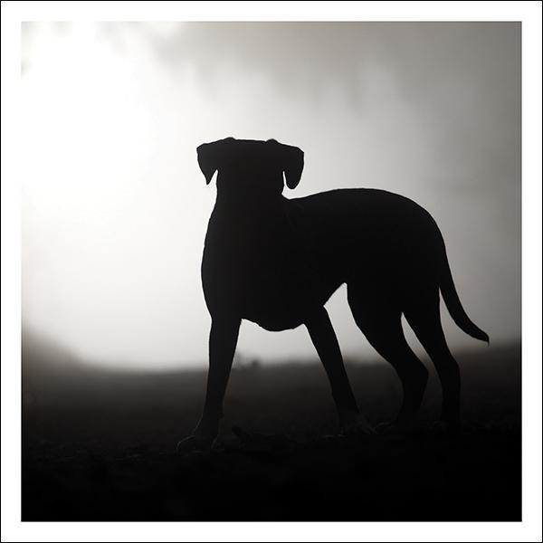 Snozzle Card - More Than A Memory (Splimple) – Otter House